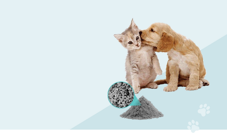 Our Technology – PurLifPet