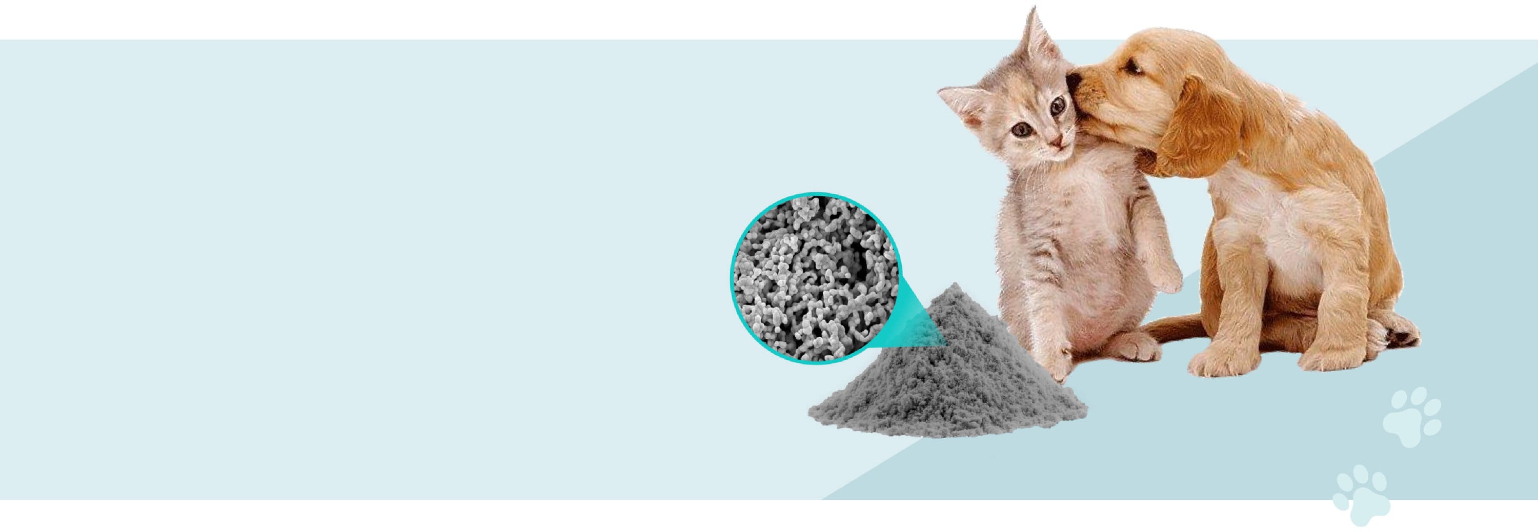 Our Technology – PurLifPet